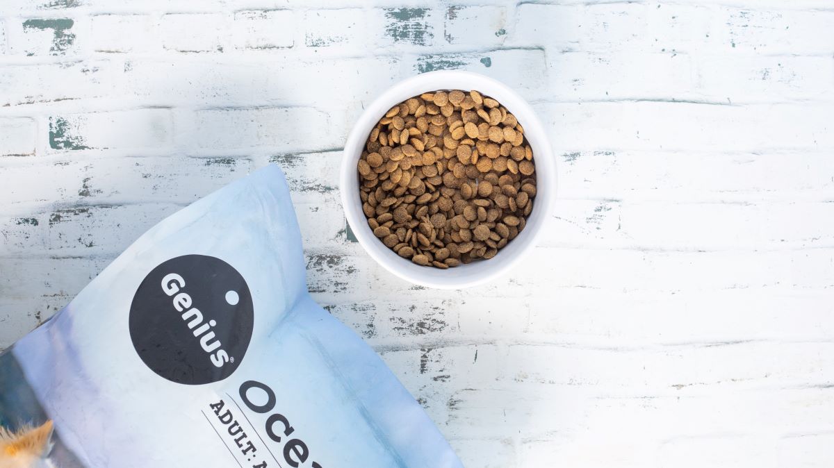 Ocean Fish Flavour Dog Food – GENIUS PET FOOD