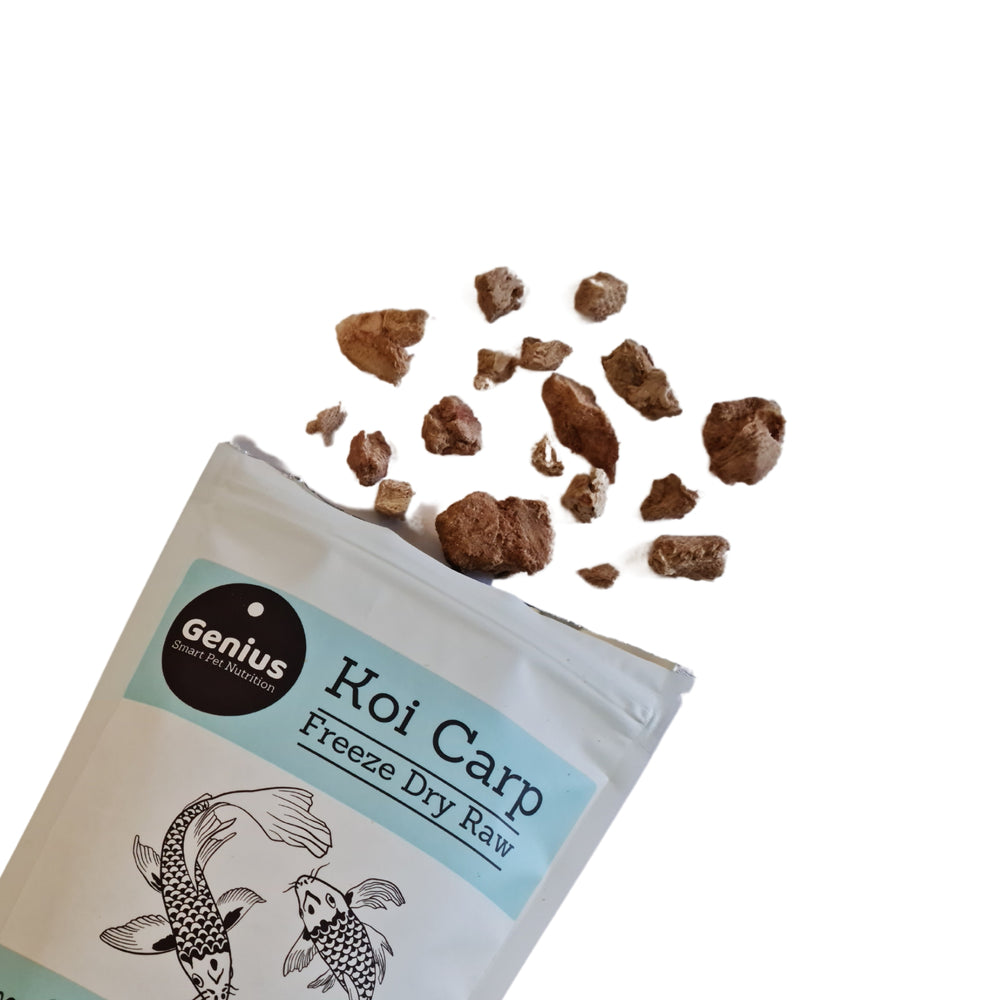 Koi Carp Dog and Cat Treats - 50g