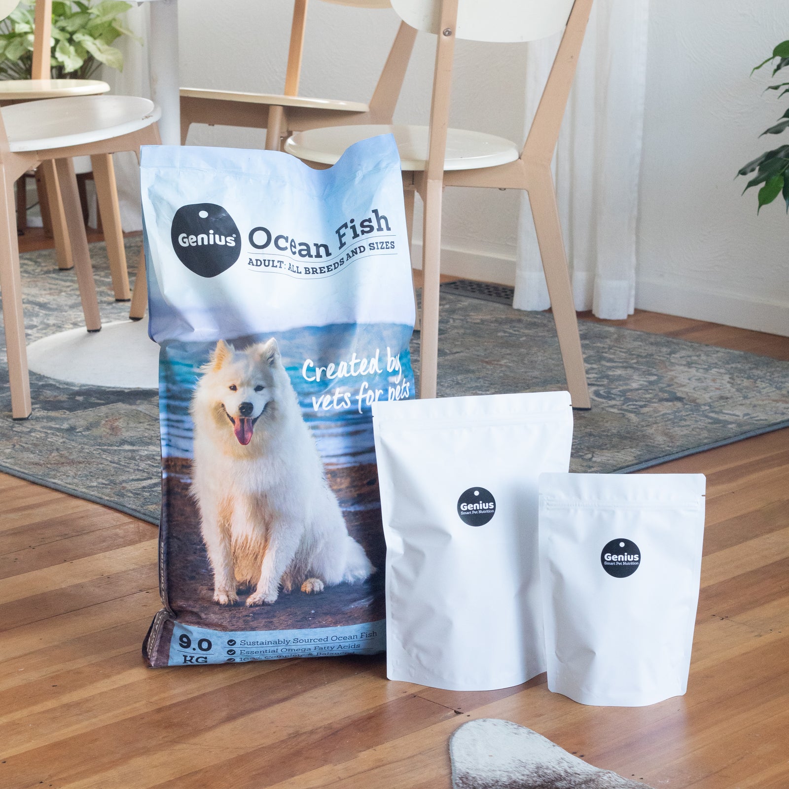 New Zealand Made Ocean Fish Adult Dog Food - Trial Pack now available
